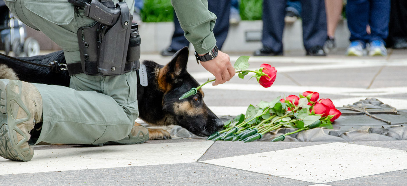 National Police K9 Memorial Service for Police Week - National Law ...